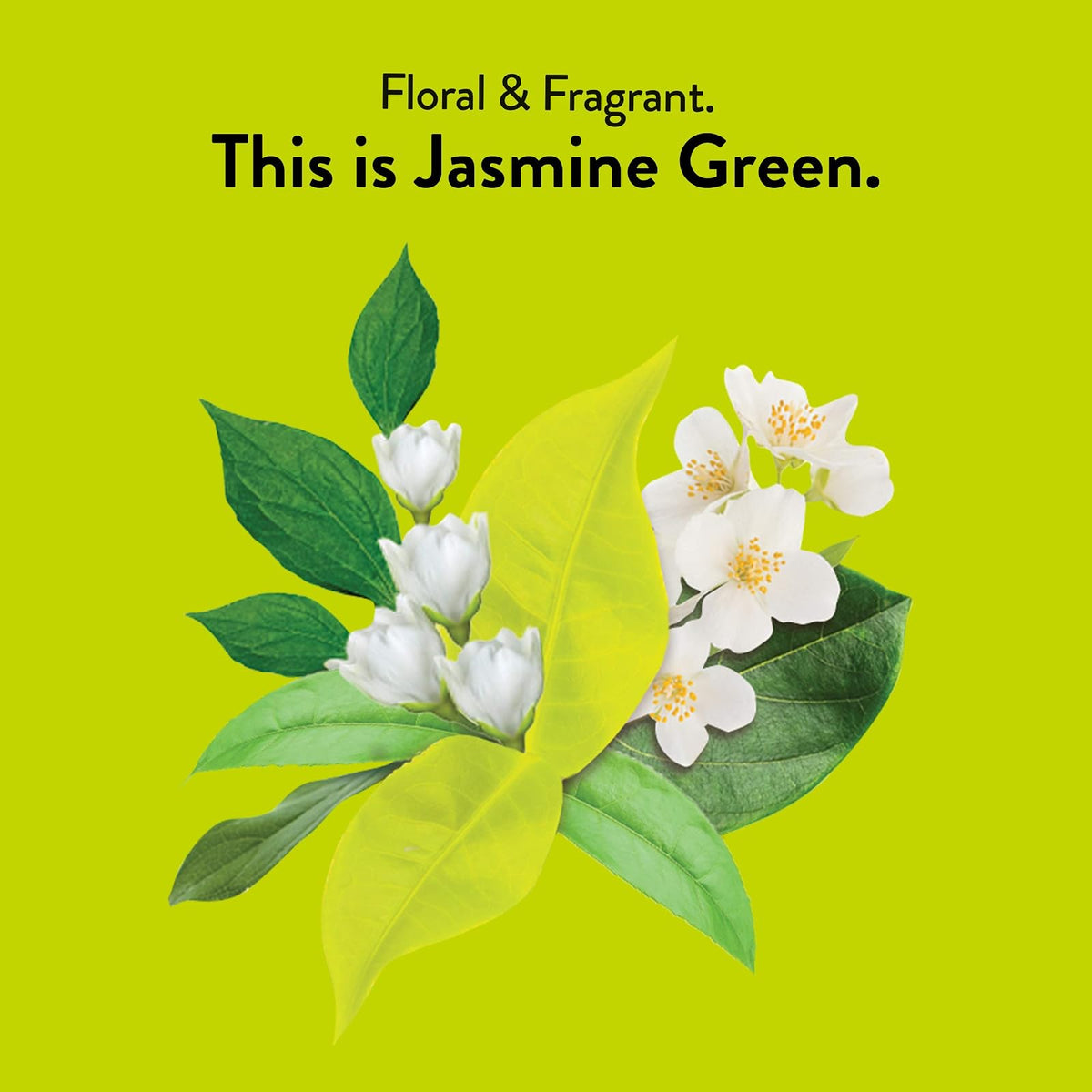 organic jasmine green tea for relaxation