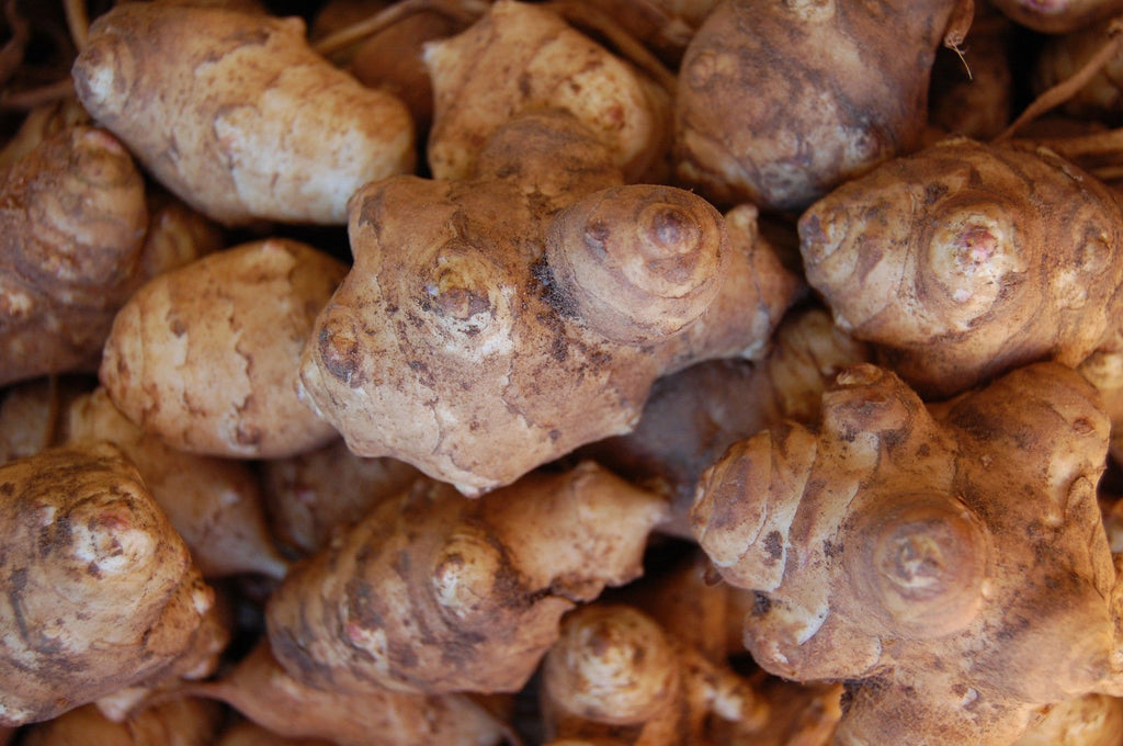 Organic Jerusalem artichoke tubers 1 lb