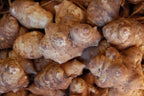 Organic Jerusalem artichoke tubers 1 lb