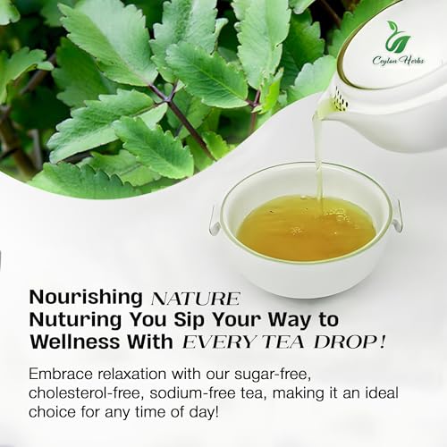 organic Kalanchoe for digestive health