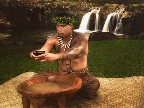 organic kava kava for wellness