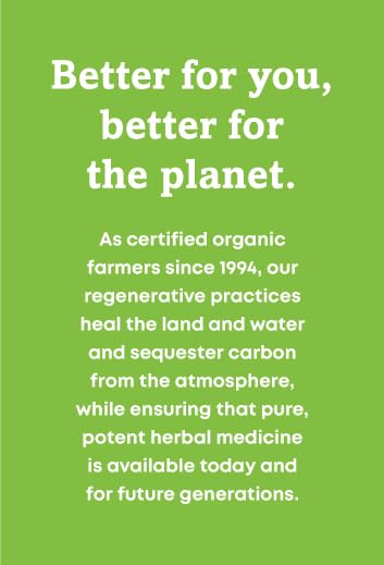 organic kelp for energy boost