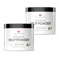 organic kelp powder supplement benefits