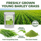 organic Korean barley grass superfood