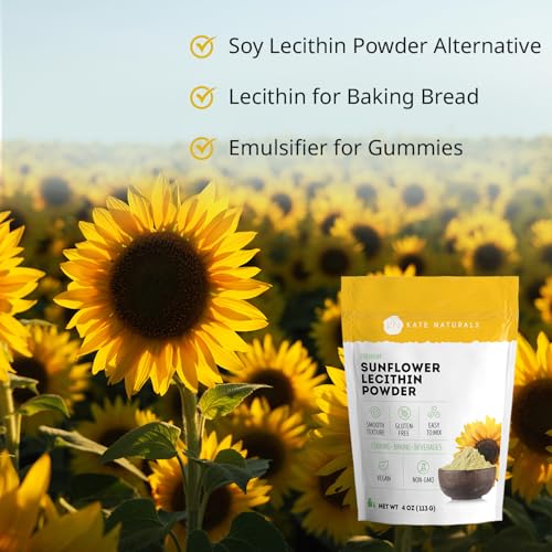 organic lecithin powder for smoothies