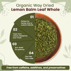 organic lemon balm tea for wellness