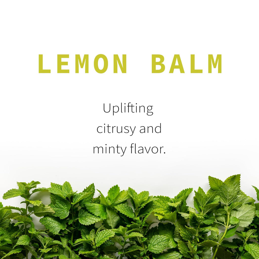 organic lemon balm tea for wellness