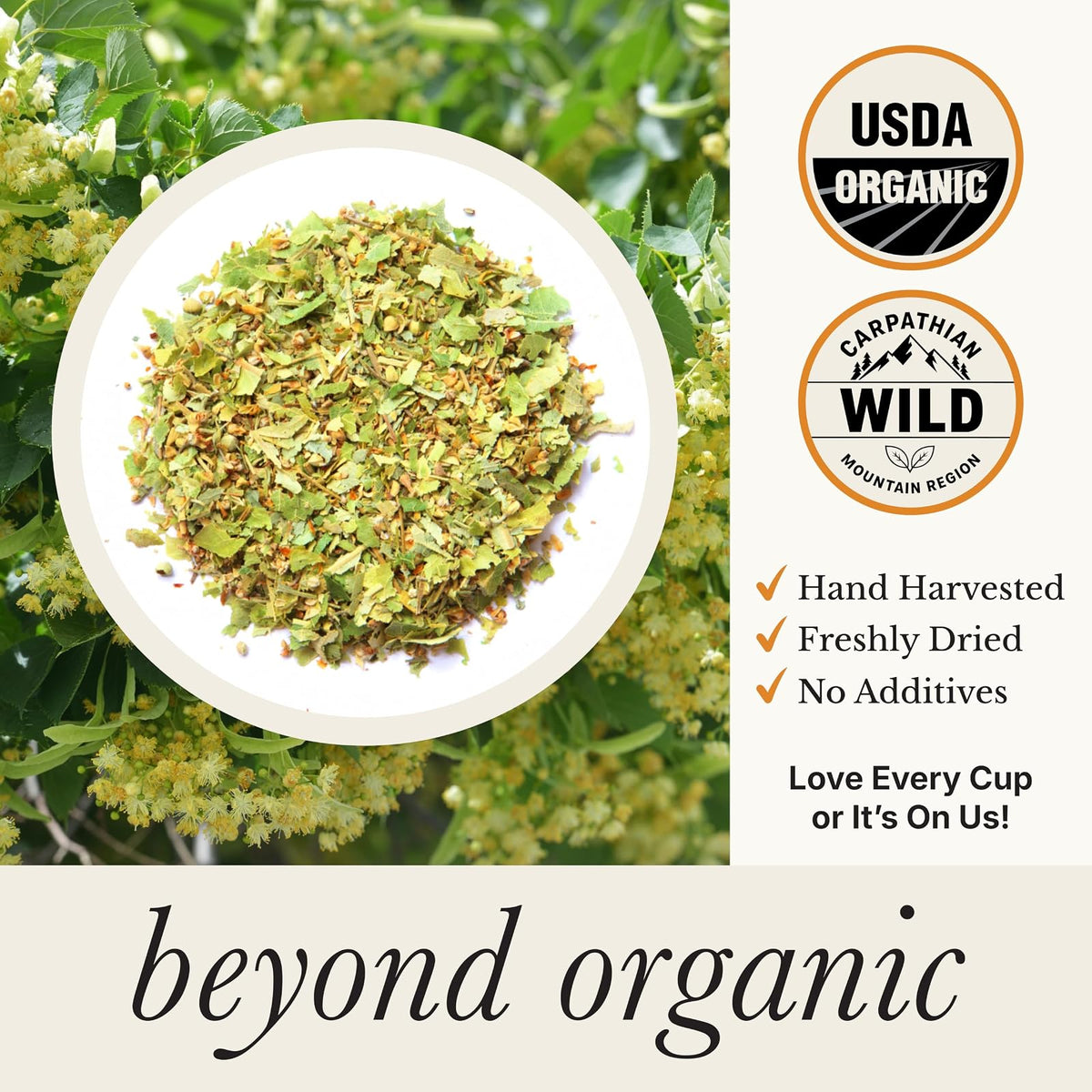 organic linden flower tea benefits