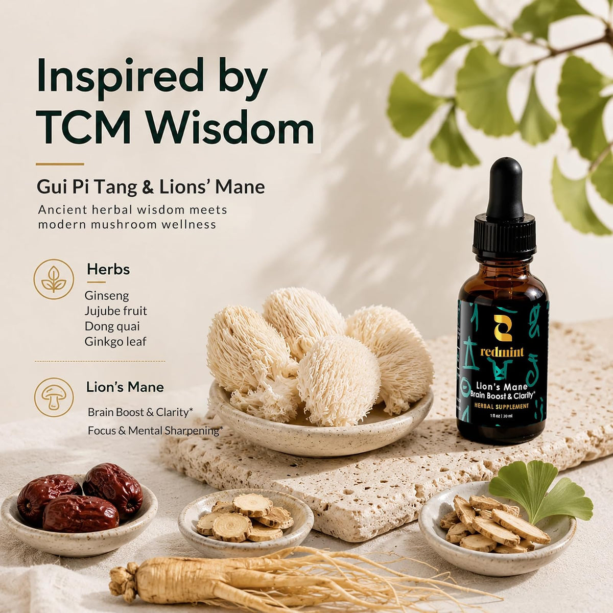 Organic Lion's Mane extract for brain health