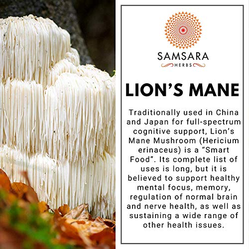 Organic Lion's Mane for brain health