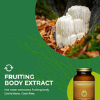 Organic Lion's Mane for brain health