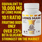 organic lion's mane for brain support