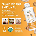 organic lion's mane for daily wellness