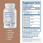 Organic Lion's Mane for focus