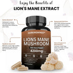 Organic Lion's Mane for stress relief