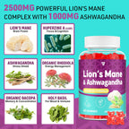 Organic Lion's Mane gummies for cognitive support