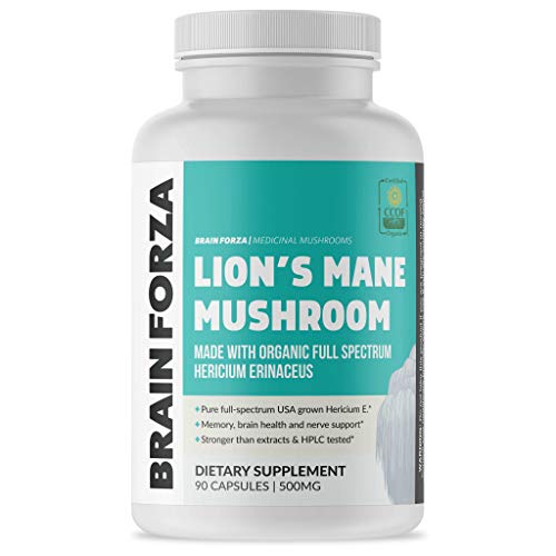 organic lion's mane mushroom capsules
