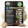 organic lion's mane mushroom capsules
