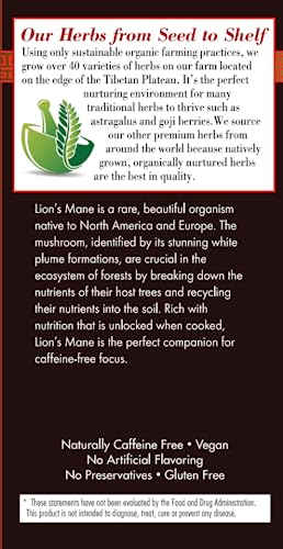 organic lion's mane mushroom infusion