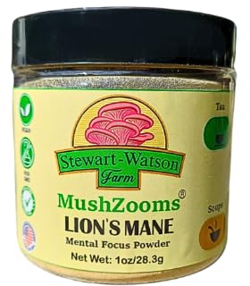 organic lion’s mane mushroom powder