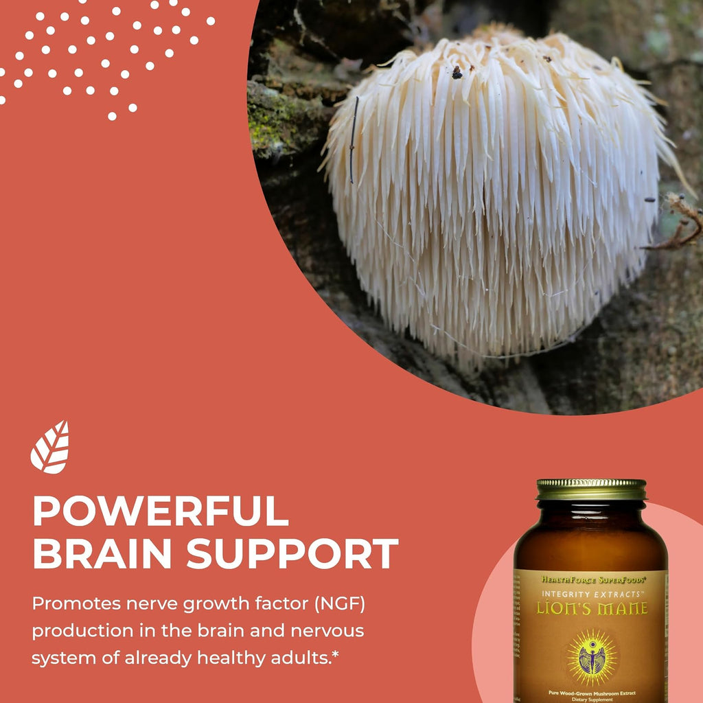 Organic Lion's Mane mushroom supplement