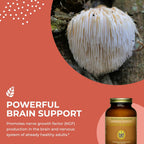 Organic Lion's Mane mushroom supplement