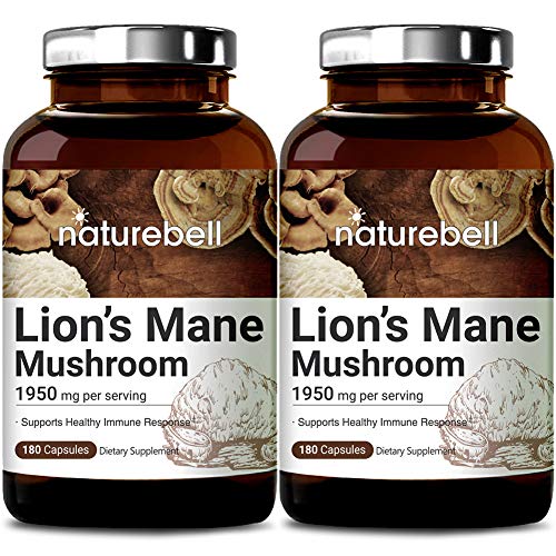 organic lion's mane mushrooms benefits