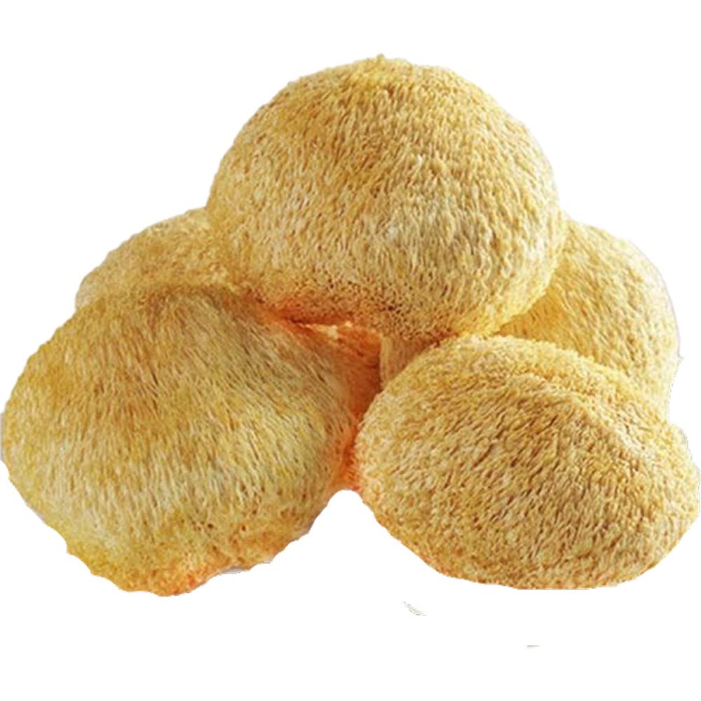 organic lion's mane mushrooms benefits