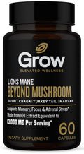 organic lion's mane mushrooms capsules