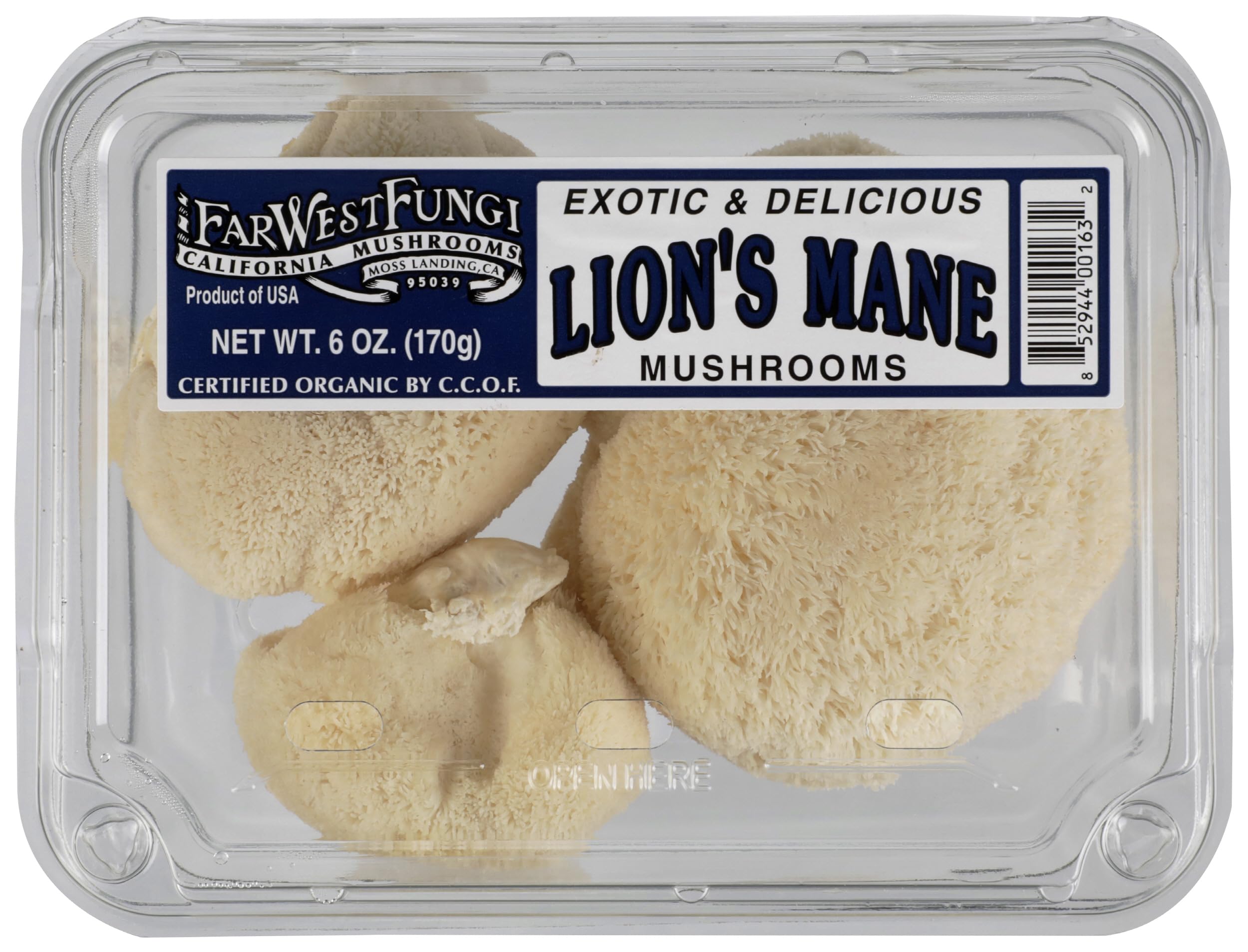 organic lion's mane mushrooms for cooking