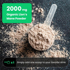 Organic Lion's Mane powder for cognitive support