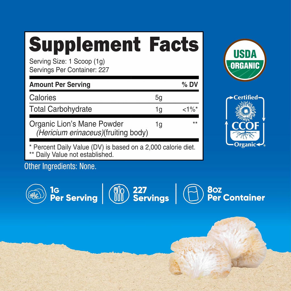 organic lion's mane powder for wellness