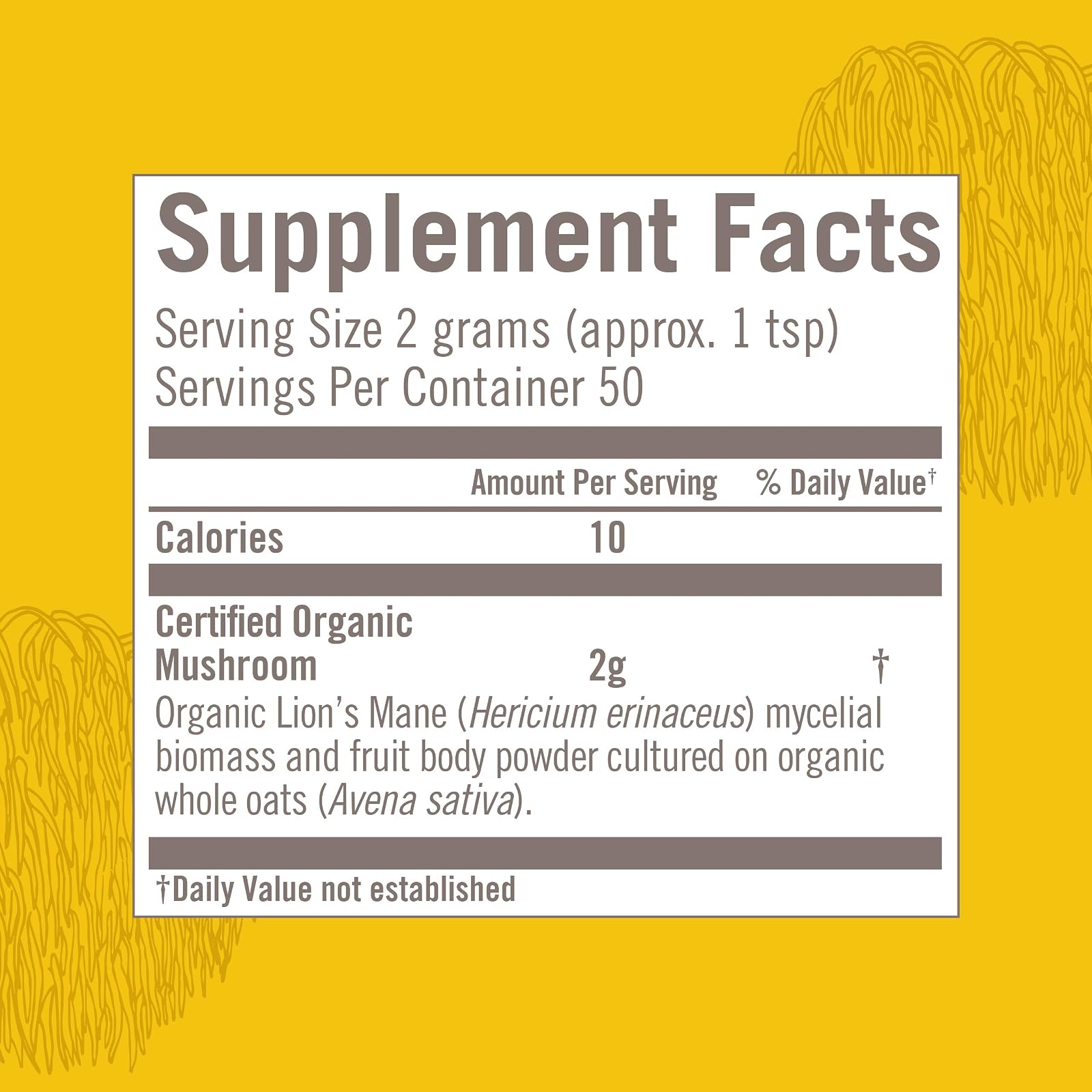 Organic Lion's Mane powder for wellness