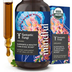 organic lion's mane tincture benefits
