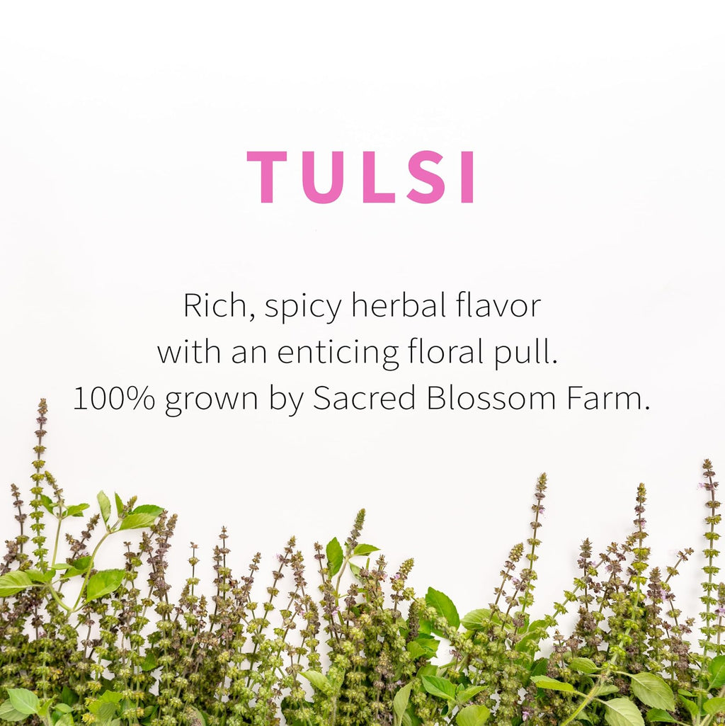 Organic loose leaf Tulsi tea