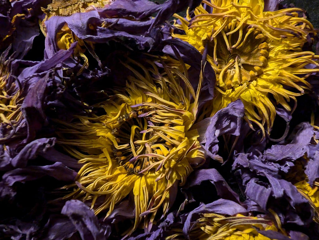 Organic lotus flower tea blend
