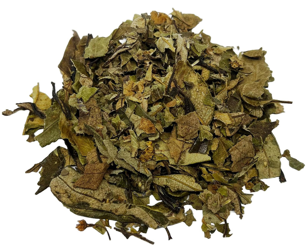 Organic Lungwort Herb Tea for wellness
