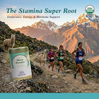 organic maca root powder for energy