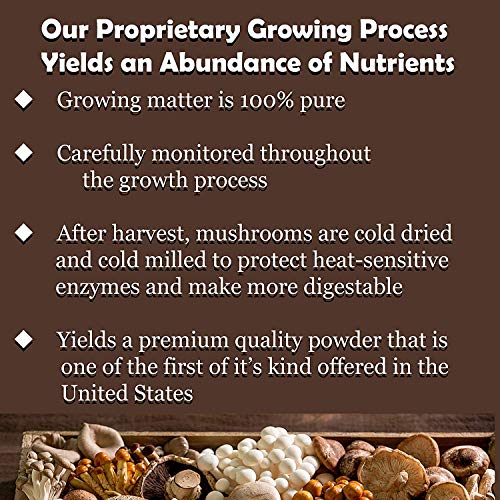 organic maitake mushrooms for wellness