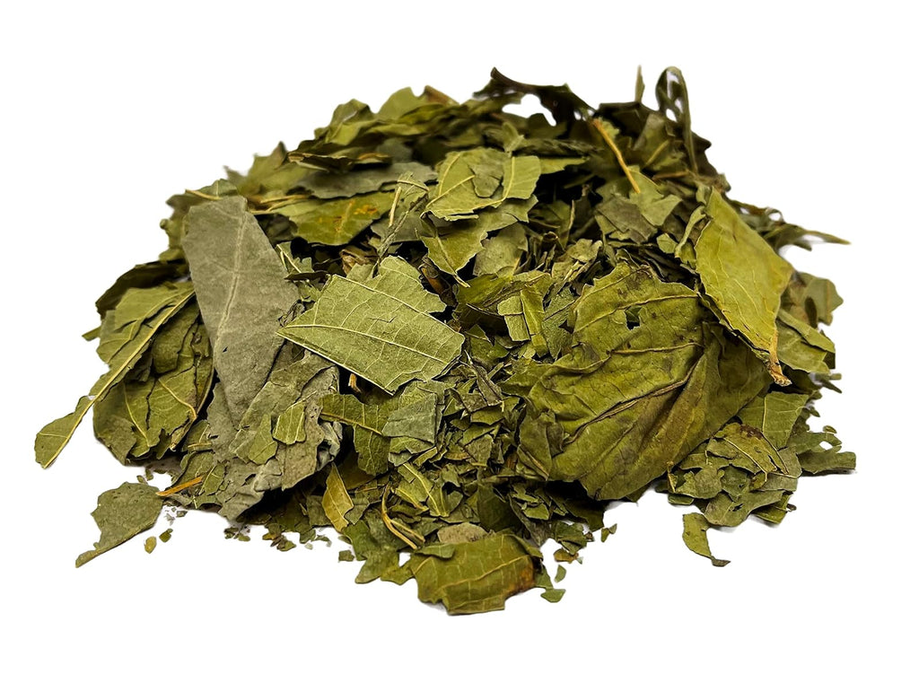 Organic Matico herb tea for wellness