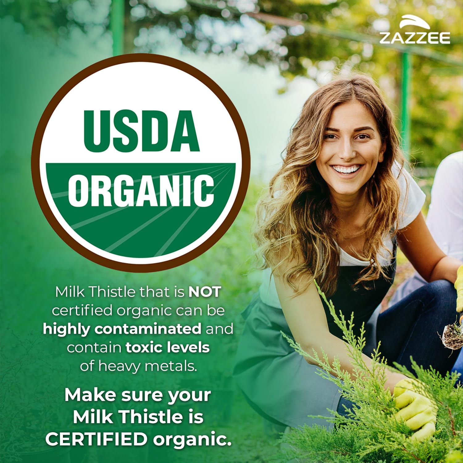 organic milk thistle capsules for detox