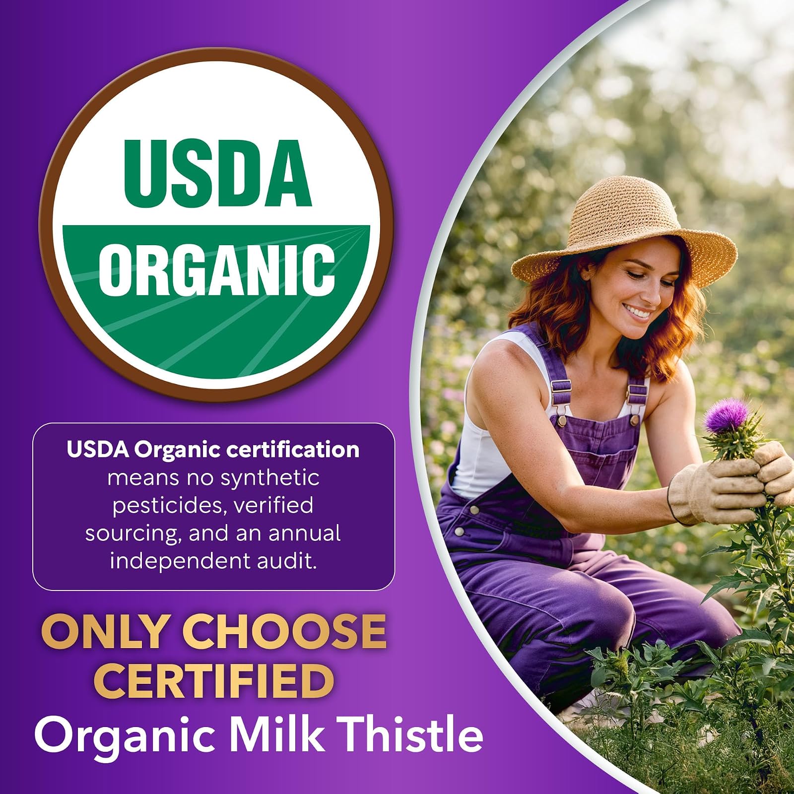 organic Milk Thistle for digestive wellness