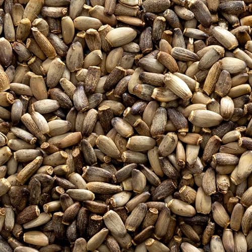 organic milk thistle for herbal healing