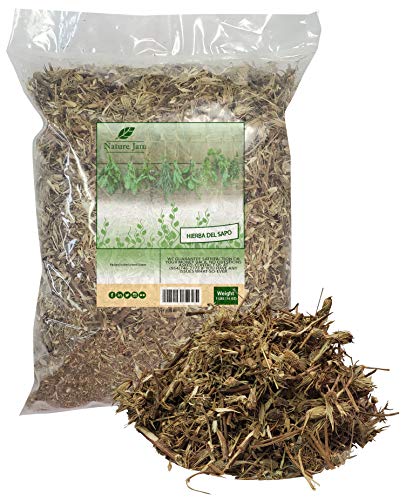 organic milk thistle for wellness