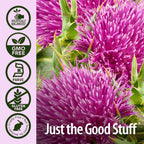 Organic Milk Thistle for wellness
