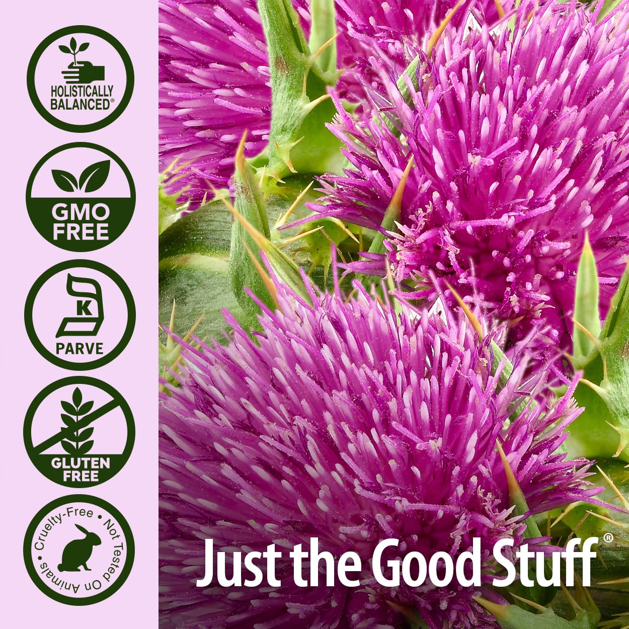 Organic Milk Thistle for wellness