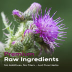 organic milk thistle herbal tea