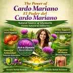 Organic milk thistle tea for detox