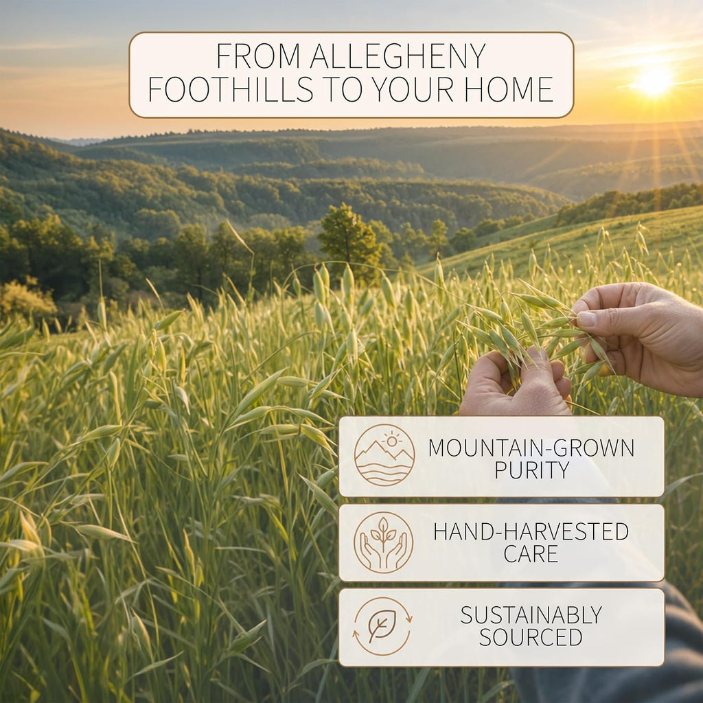 Organic milky oats for relaxation