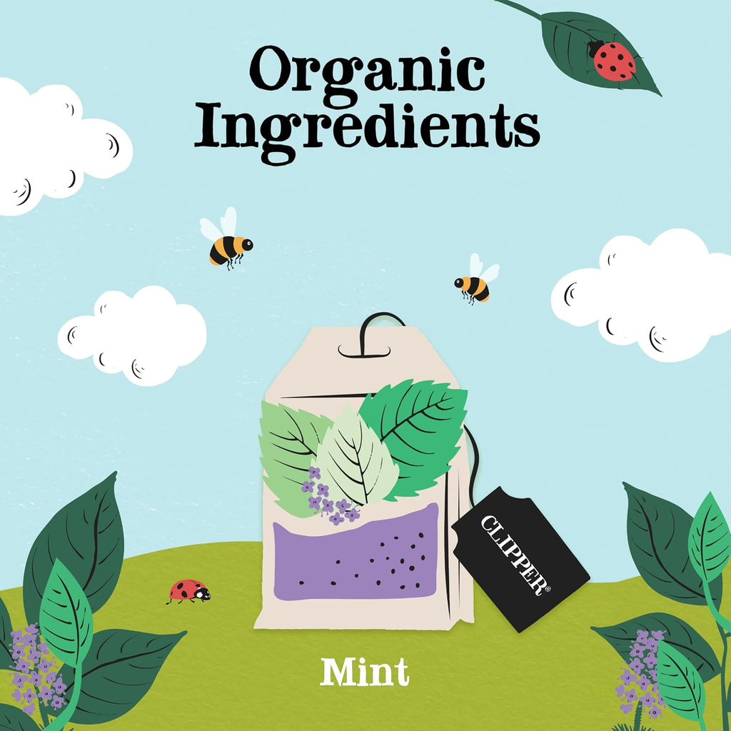 organic mint tea for digestive health